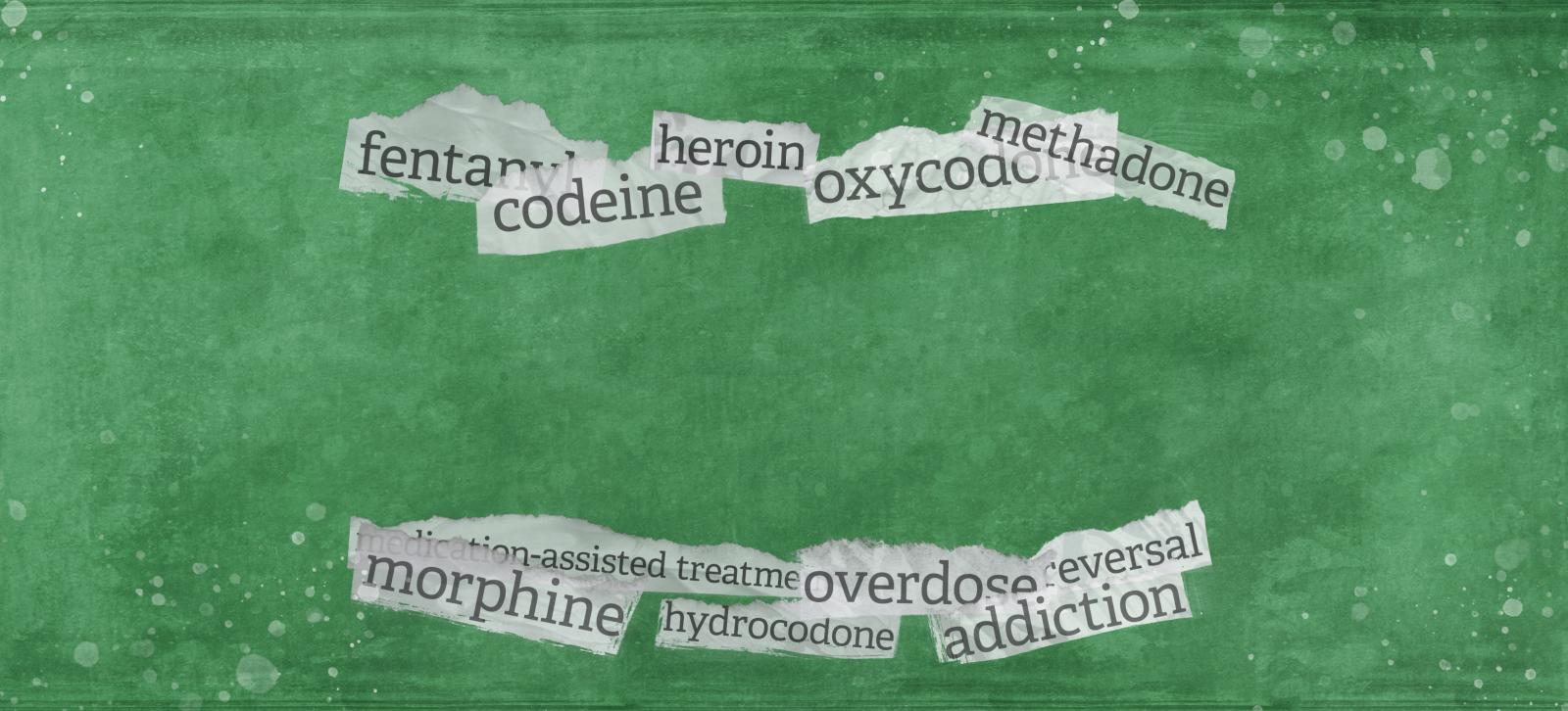 Opioids Explained: What They Are and How They Affect You | Decoded CA