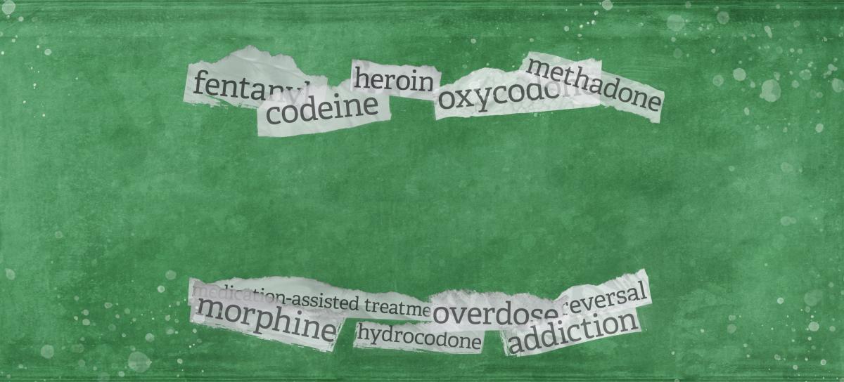 Opioids Explained: What They Are and How They Affect You | Decoded CA